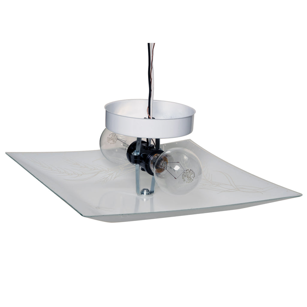 Double Ceiling Light Fixture, 12", shop lighting & lamp parts at low ...