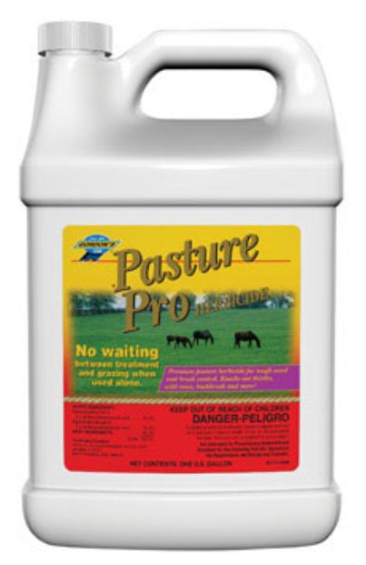 Gordon 8111072 Pasture Pro Pasture Herbicide, 1Gallon — LIfe and Home