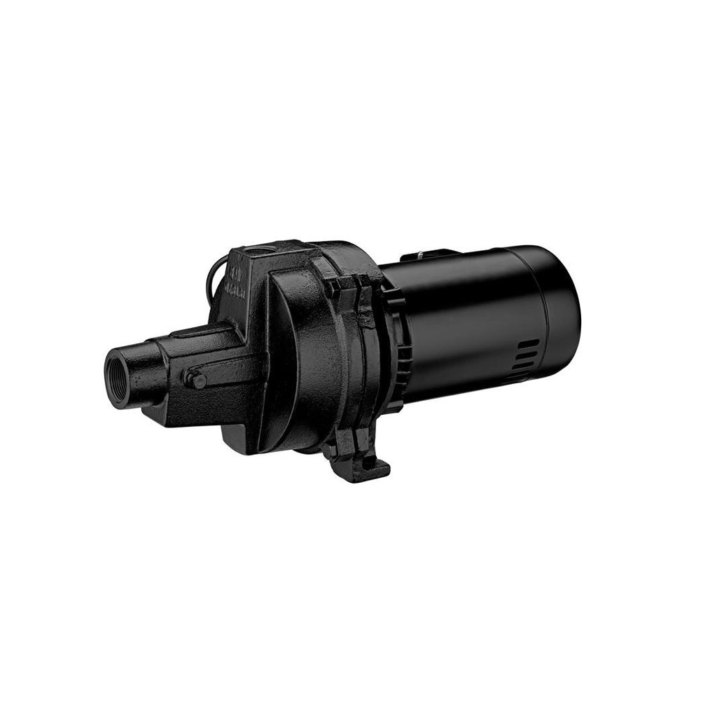 Flotec FP4532 Shallow Jet Well Pump, Cast Iron, 1 HP — Life and Home