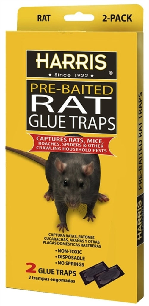 Harris BLK-RG2 Pre-Baited Mouse/Rat Trap, Plastic — LIfe and Home