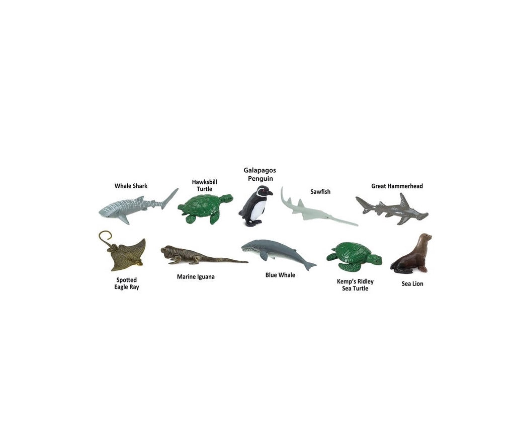 Safari Ltd 100110 Toobs Endangered Species Marine Toy, Plastic — LIfe ...