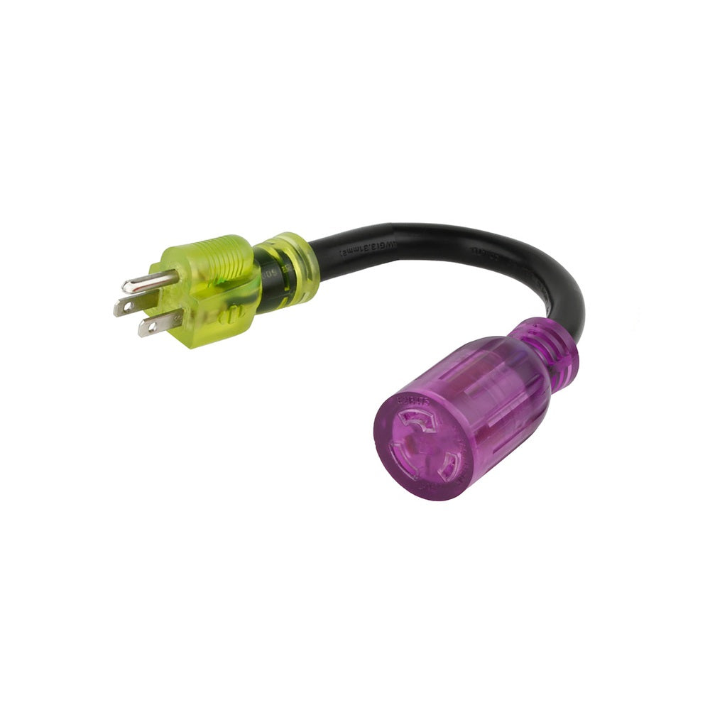 Reliance Controls AC1522 Portable Generator Adapter Cord, Black, 125 V ...