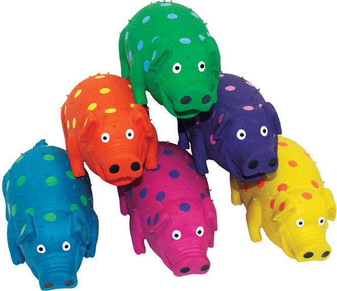 MultiPet Dog Pig Pet Toy, Latex on sale, birds, cats & dogs supplies at ...