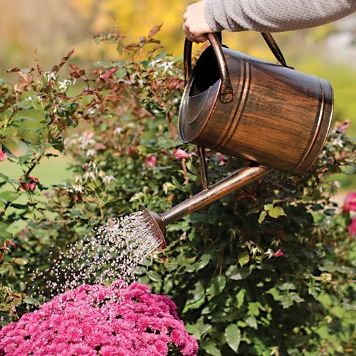 Panacea 84872 Copper Watering Can, 2 Gallon, Metal — LIfe and Home